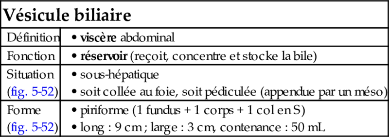 Anatomie des organes et viscères