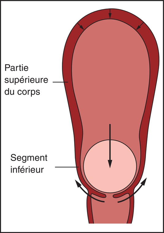 Pratique de l'accouchement