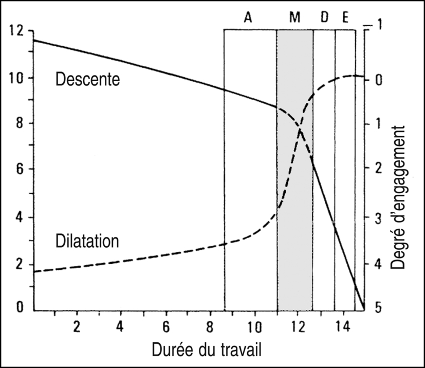 Pratique de l'accouchement