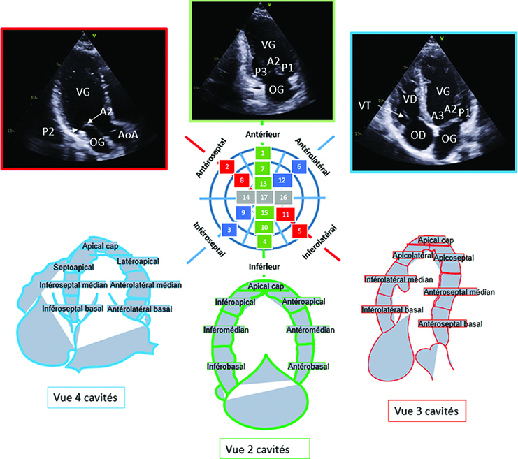Guide pratique d'échocardiographie