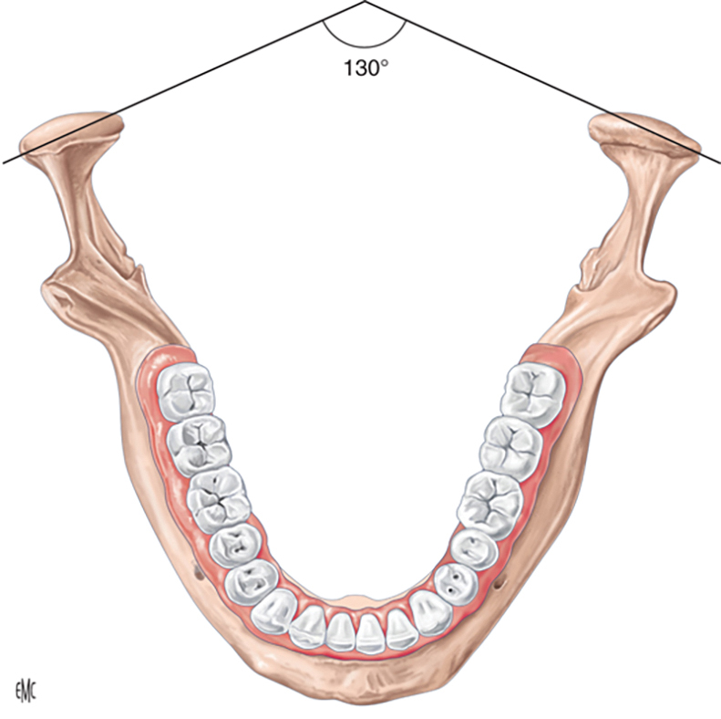 Ostéopathie orofaciale et temporomandibulaire