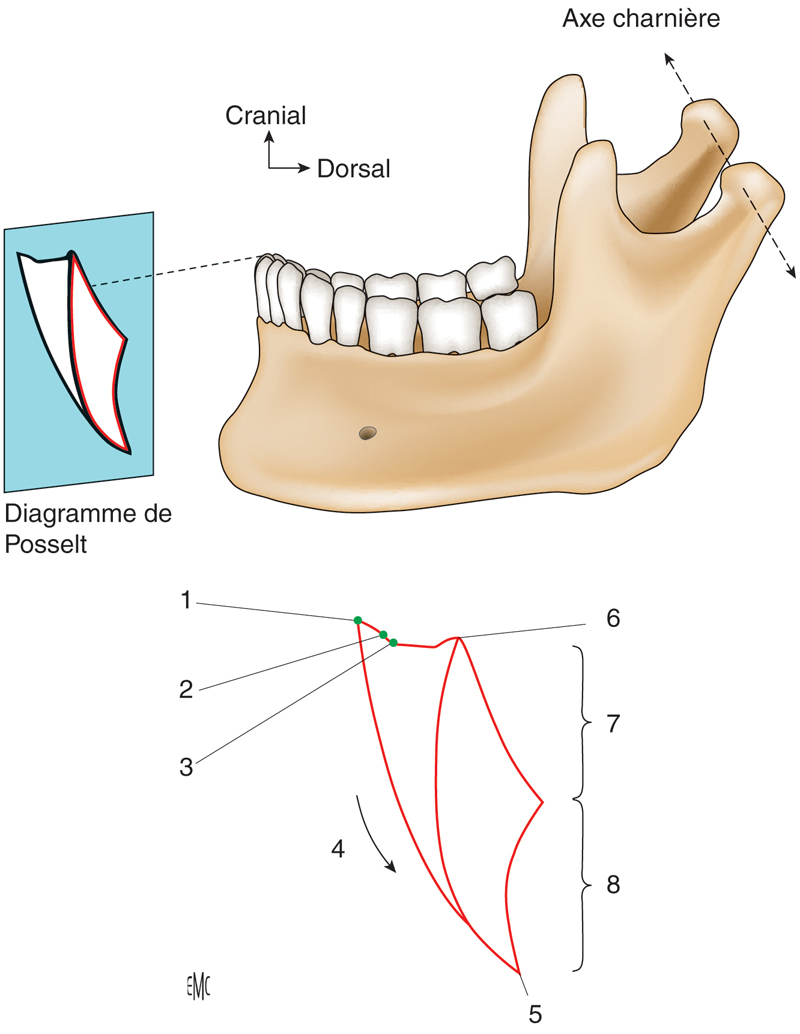Ostéopathie orofaciale et temporomandibulaire