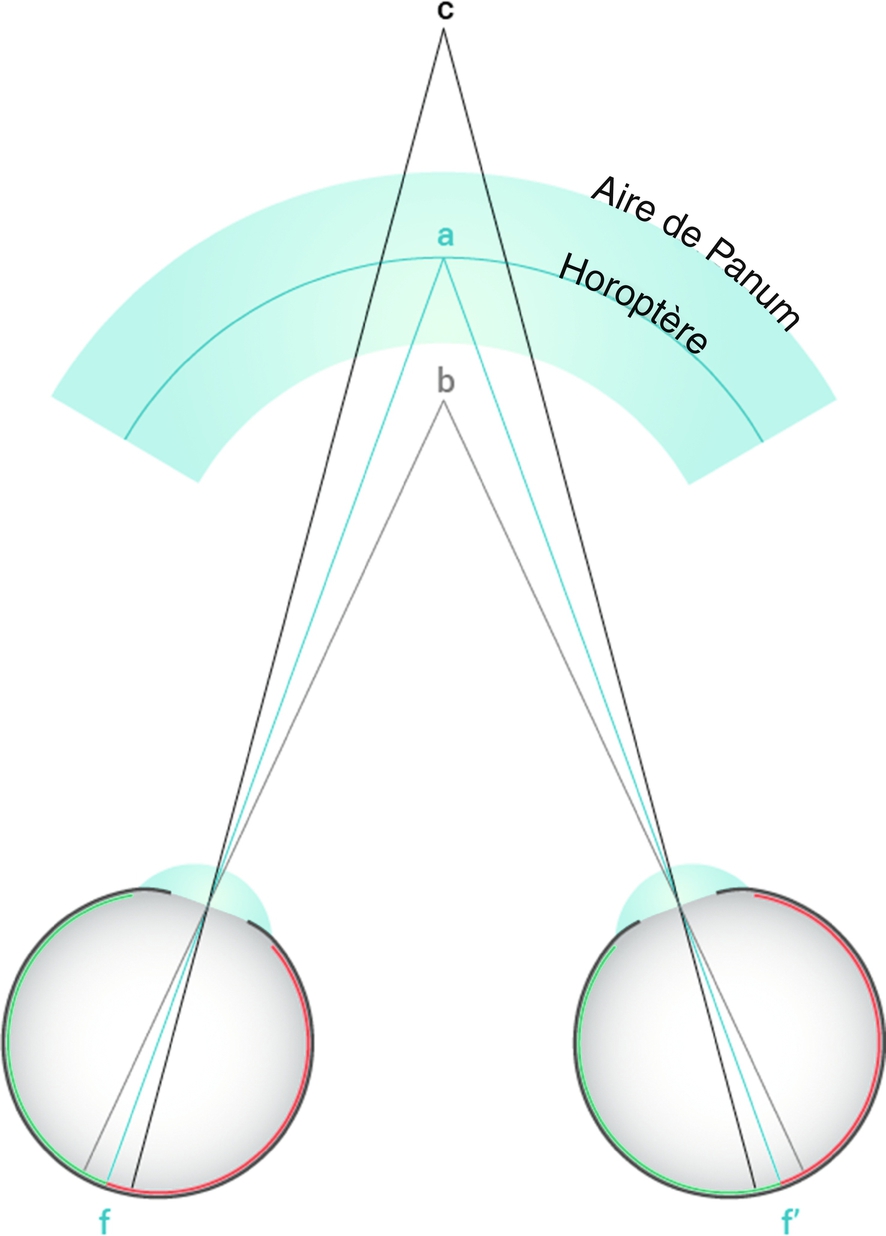 50 fiches techniques d'orthoptie pour la pratique quotidienne
