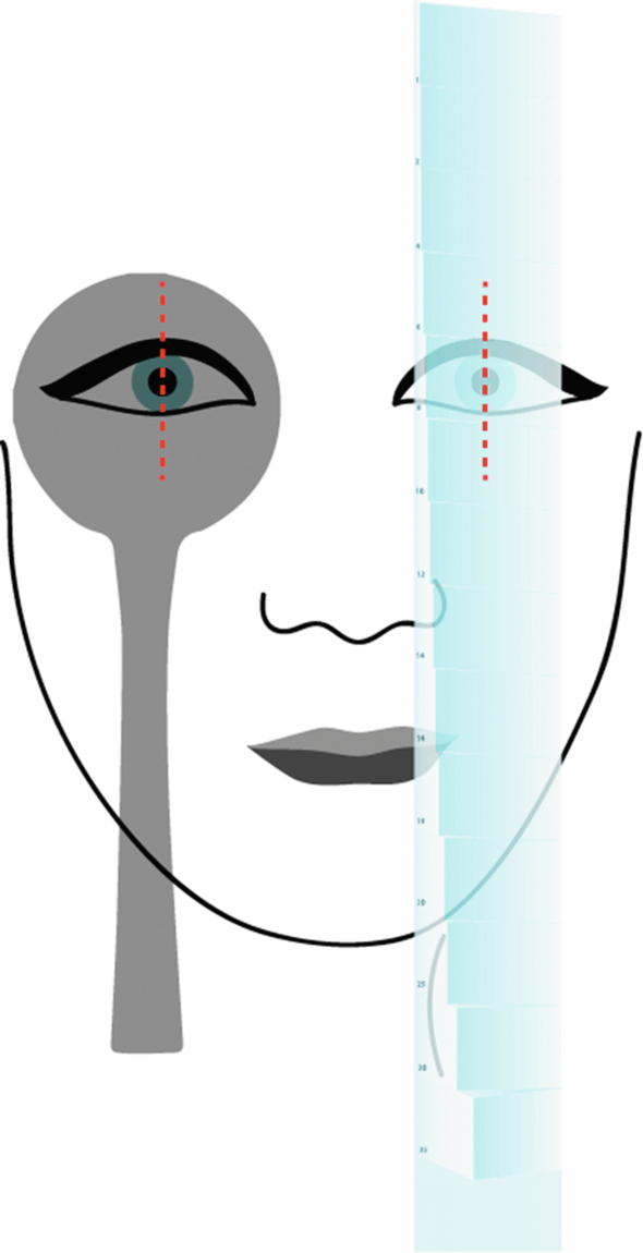 50 fiches techniques d'orthoptie pour la pratique quotidienne