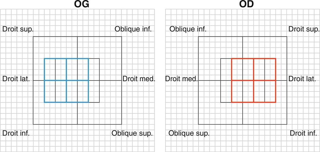 50 fiches techniques d'orthoptie pour la pratique quotidienne