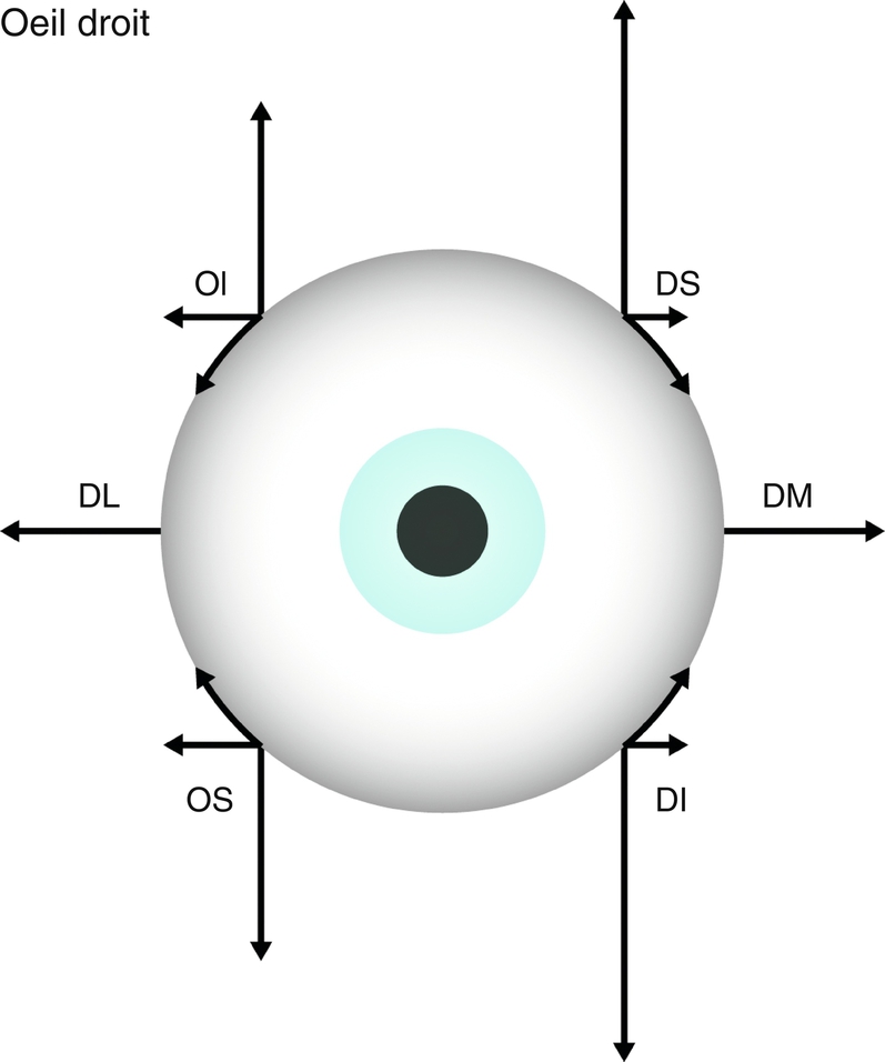 50 fiches techniques d'orthoptie pour la pratique quotidienne