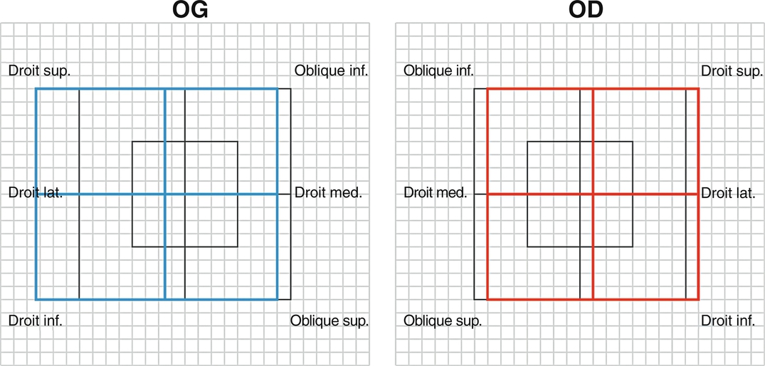 50 fiches techniques d'orthoptie pour la pratique quotidienne