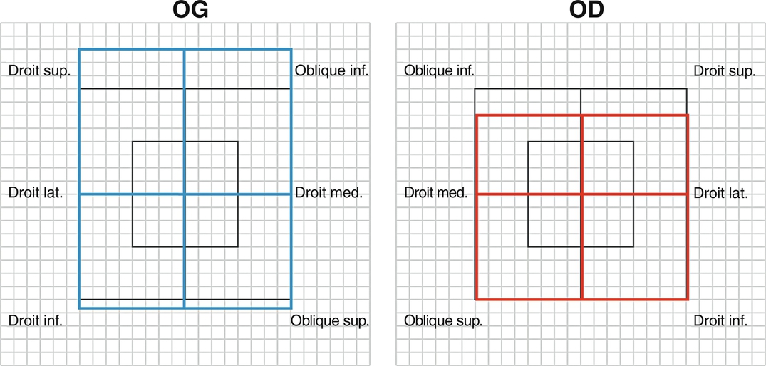 50 fiches techniques d'orthoptie pour la pratique quotidienne