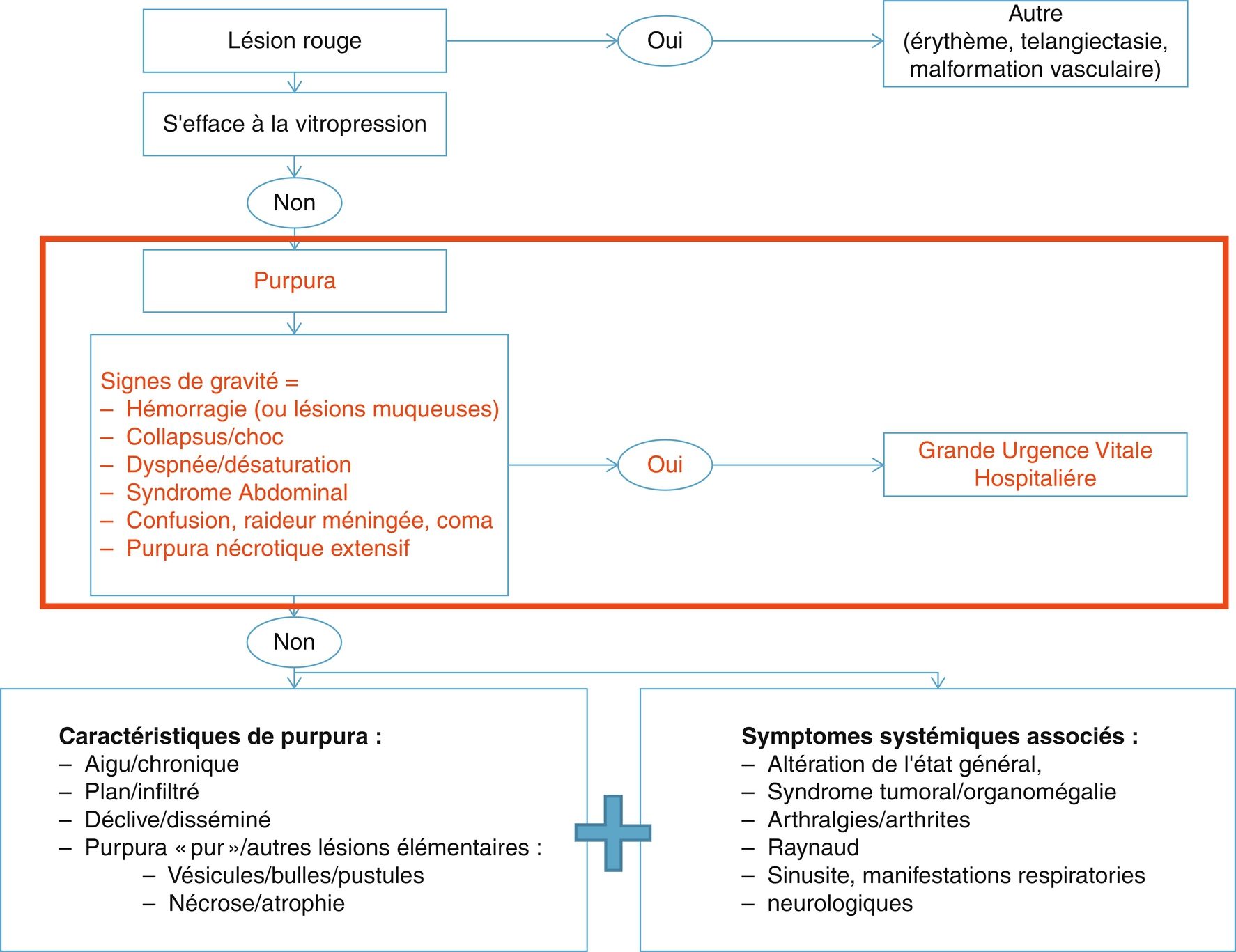 Chapitre 17: Item 215 – Purpura chez l'adulte et l'enfant