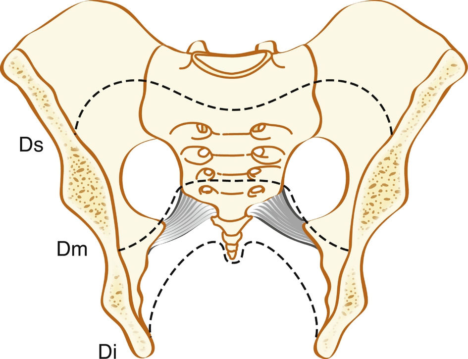 Chapitre 2: Examen clinique à l'entrée en salle de naissance