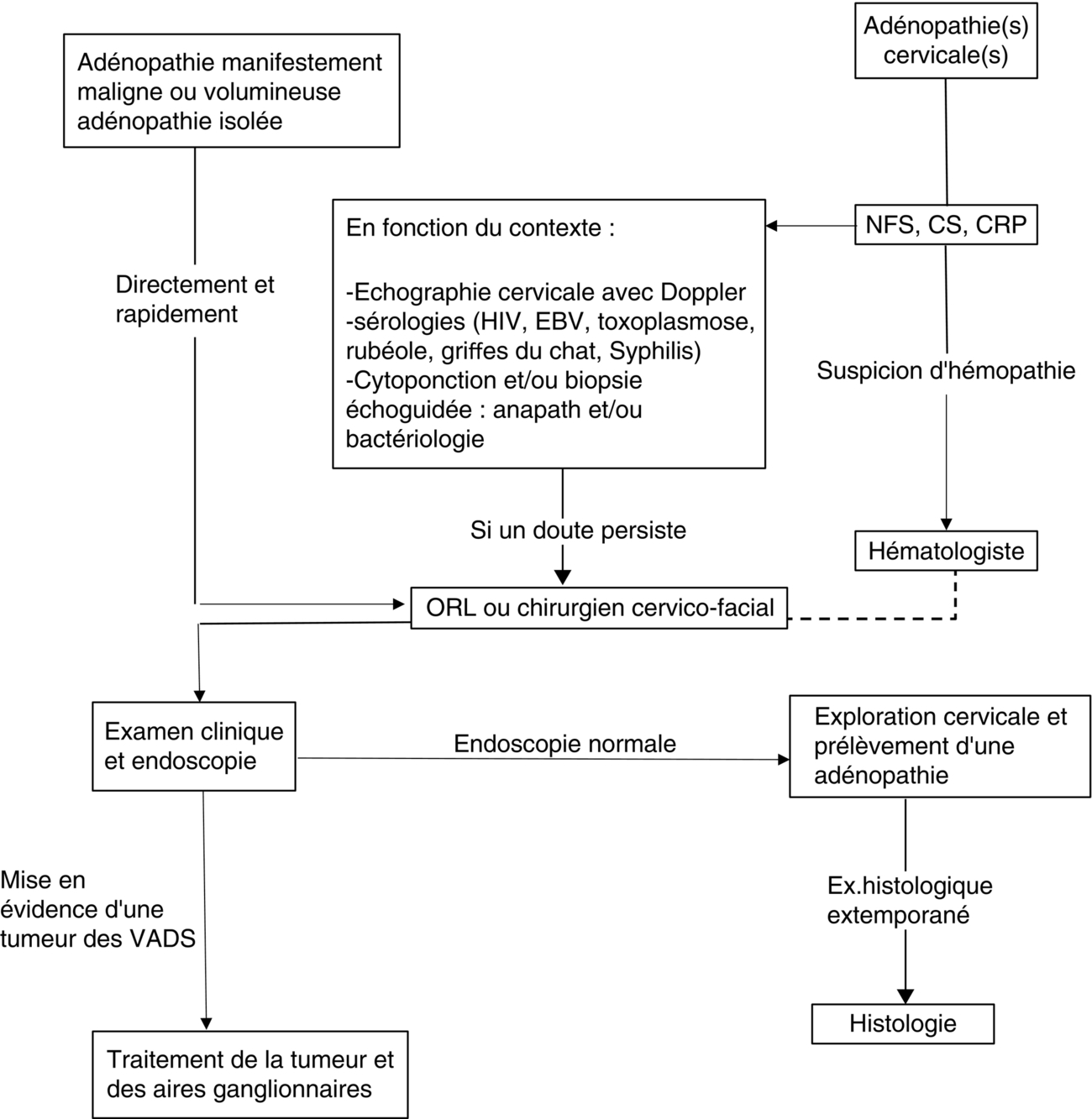 Chapitre 14: ITEM220 Adénopathie superficielle de l'adulte et de l ...