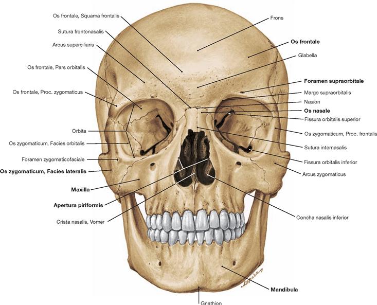 Sobotta: Atlas of Human Anatomy