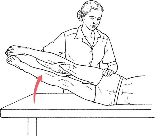 Le bilan musculaire de daniels et worthingham