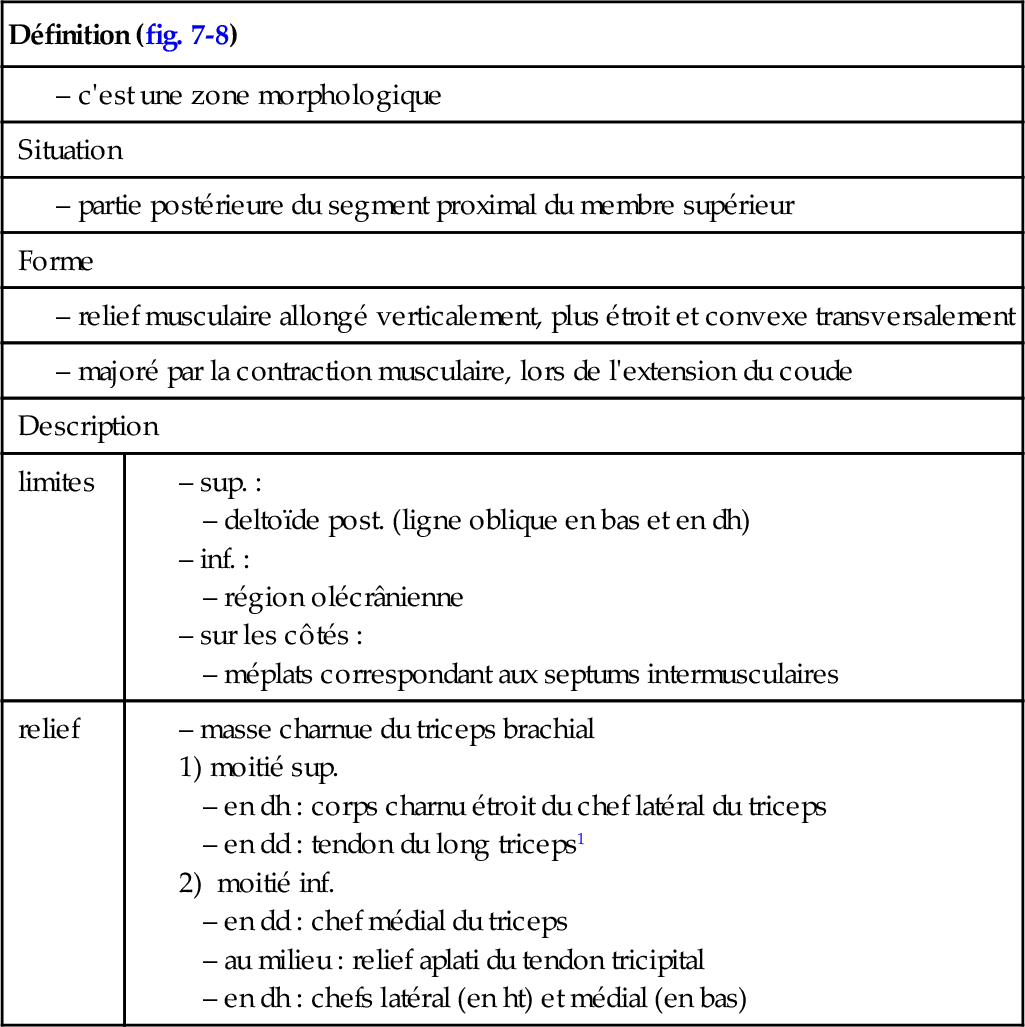 Anatomie de l'appareil locomoteur Tome 2
