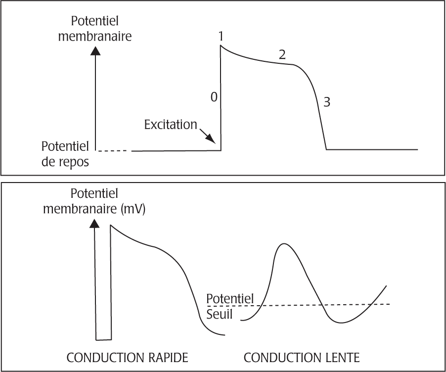 Guide pratique infirmier