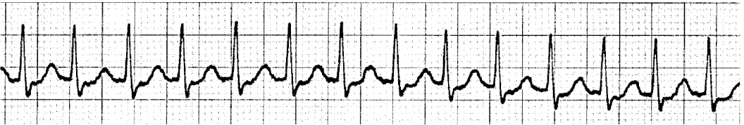 Guide pratique infirmier